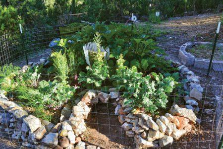 Build a Keyhole Garden - Backwoods Home Magazine