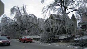Lessons learned from an ice storm - Backwoods Home Magazine