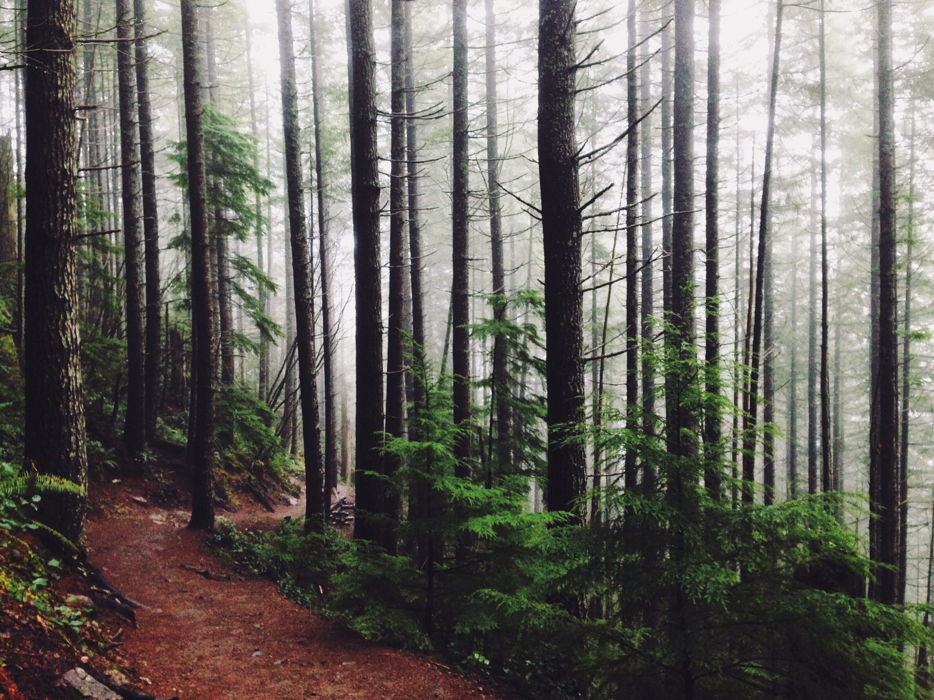 How to Build a Trail - Backwoods Home Magazine