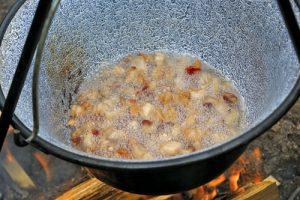 Hunting, processing, and serving black bear - Backwoods Home Magazine