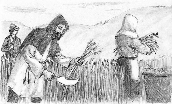 A Billhook is a Handy Homestead Tool - Backwoods Home Magazine