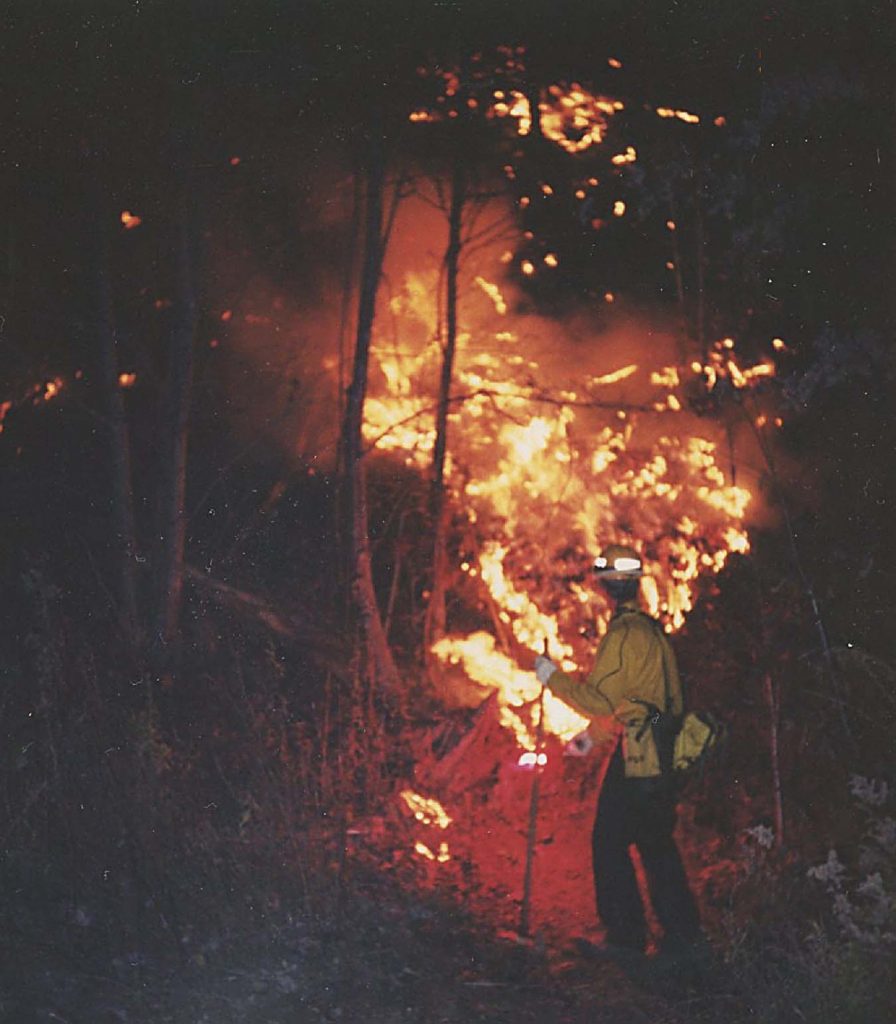 Wildfires: Before, During, After - Backwoods Home Magazine