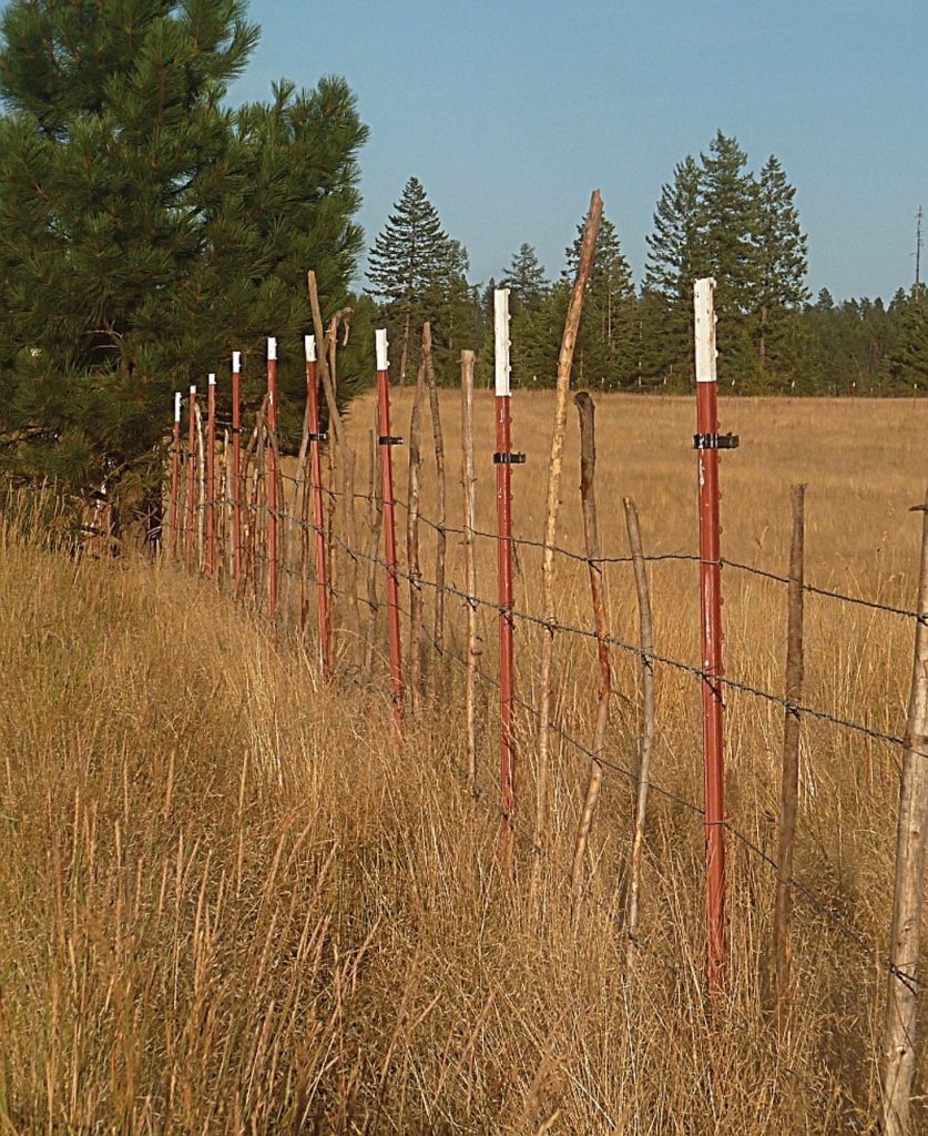Livestock fencing for the small homesteader - Backwoods Home Magazine