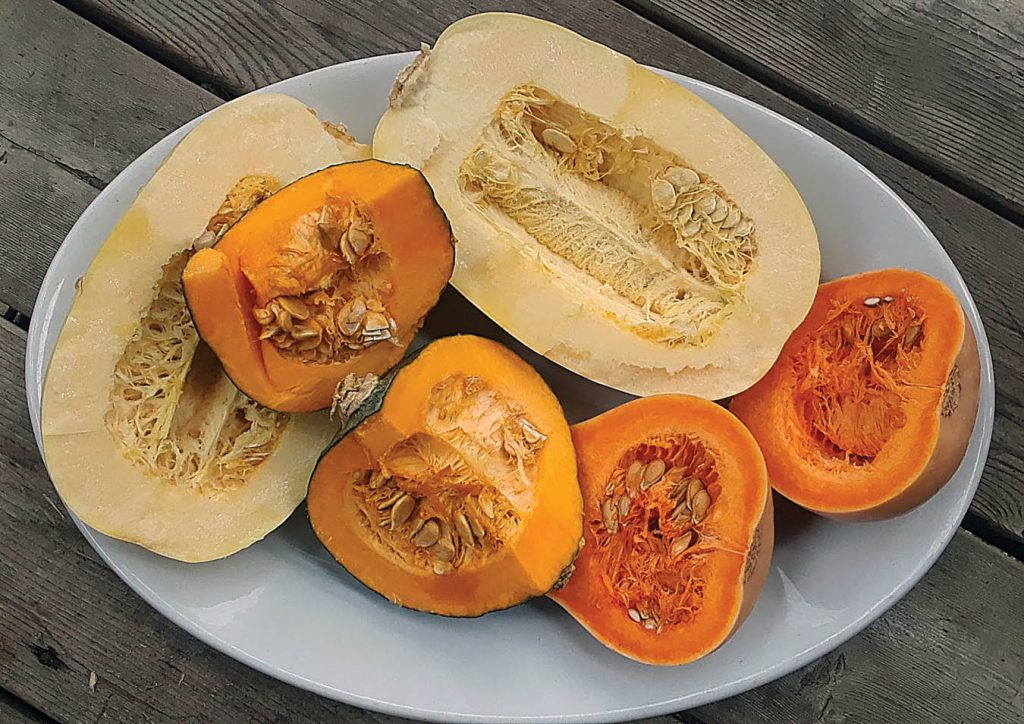 Grow some winter squash this year - Backwoods Home Magazine