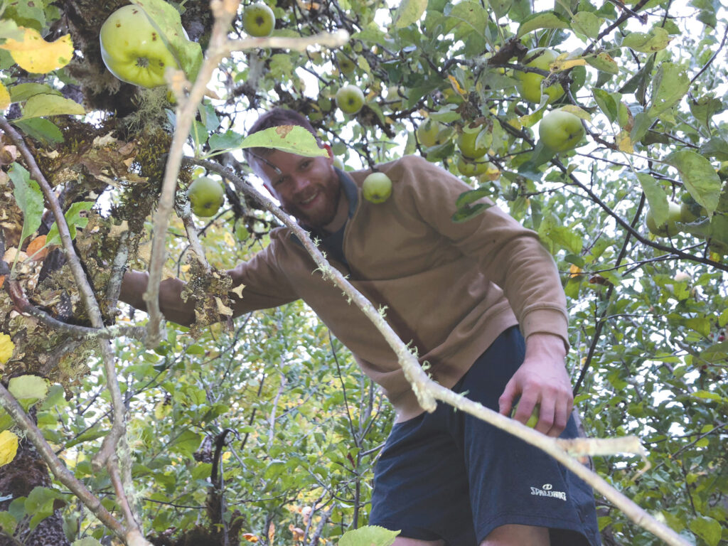 History of Backwoods Home Magazine - Backwoods Home Magazine