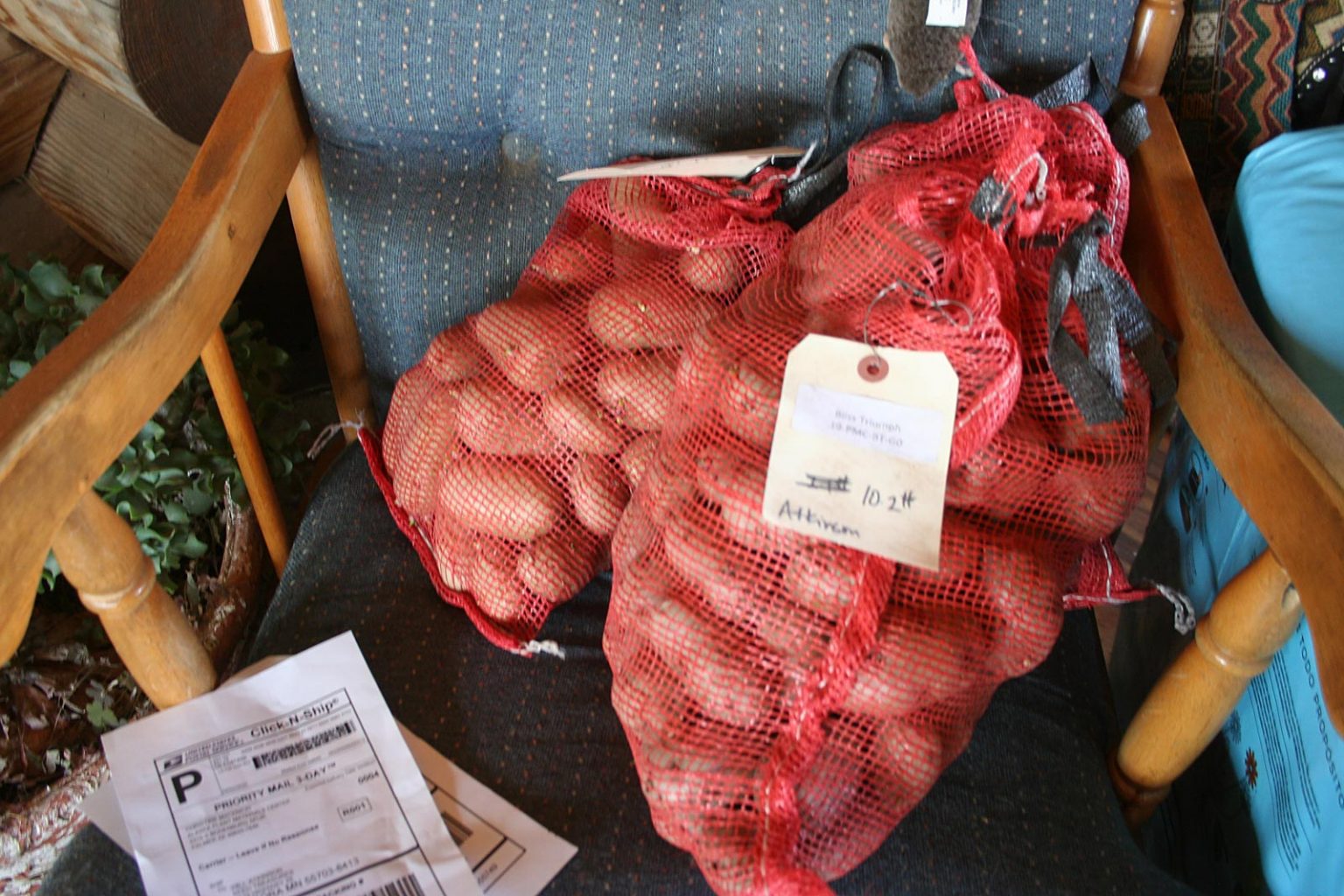 We got our Bliss Triumph seed potatoes from Alaska