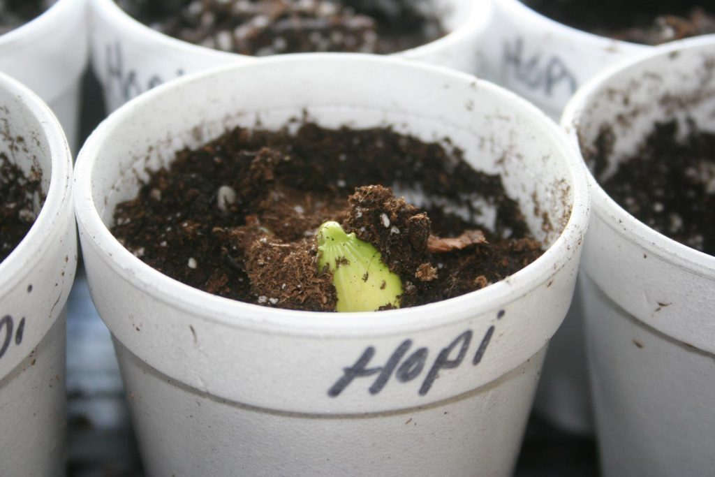 We’ve finally got spring. Again.