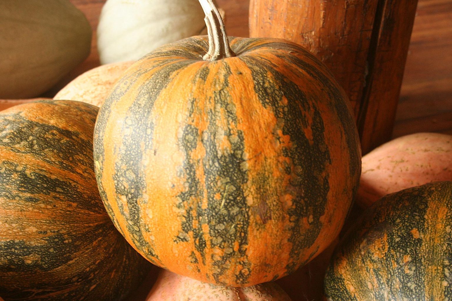 We’re loving the squash/pumpkin crop this year