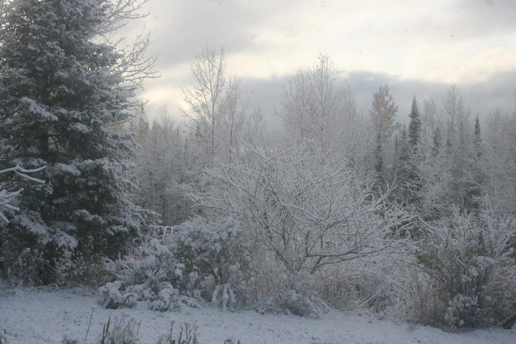 It feels like winter outside