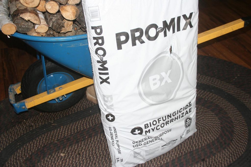 Our storm turned out to be a non-event