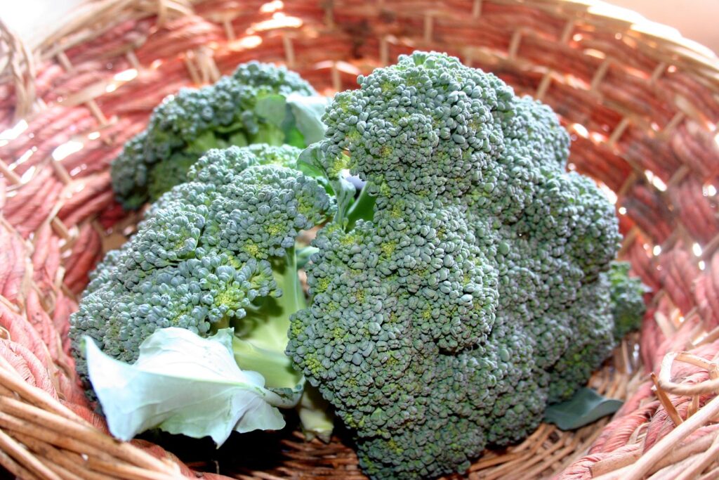 Not big movie-goers, we just saw the best movie of our lives