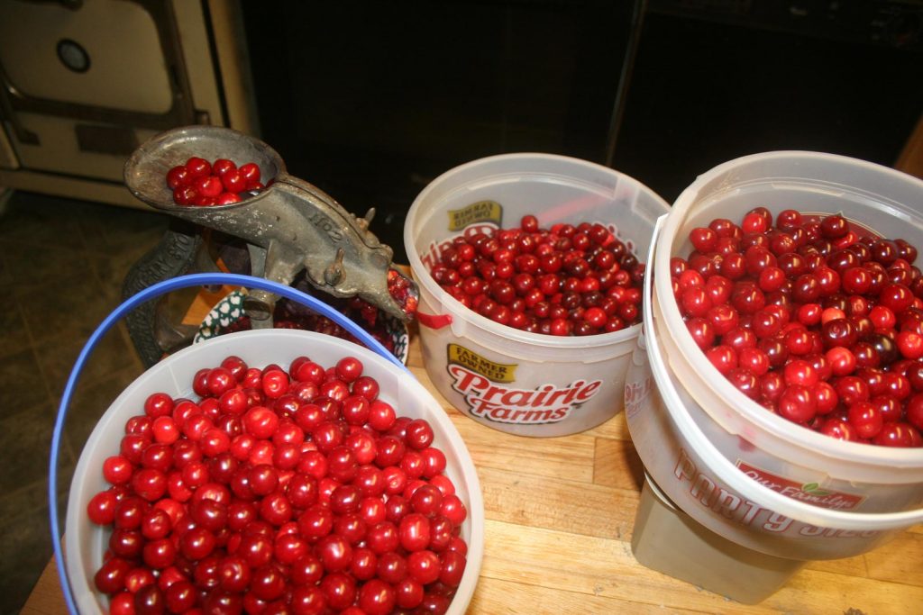 My cherry pitter came