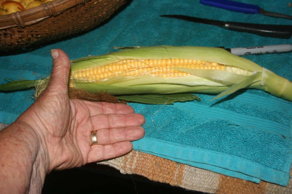 The weather station is posting the F word