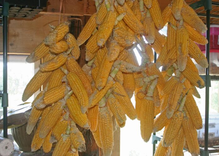 With dry, warm weather, we’re hard at work